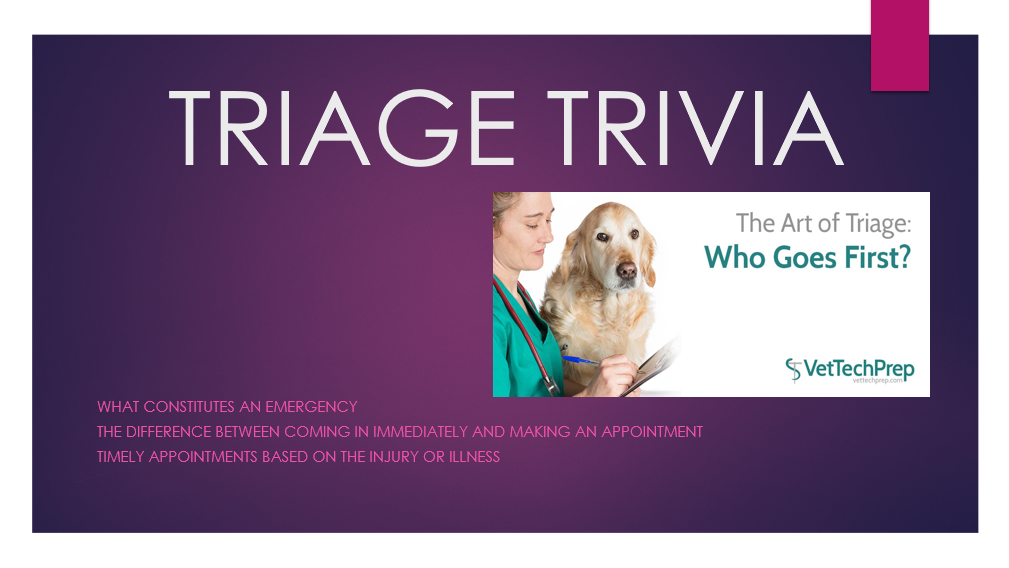 Triage Trivia - Custom Trivia Quiz Maker