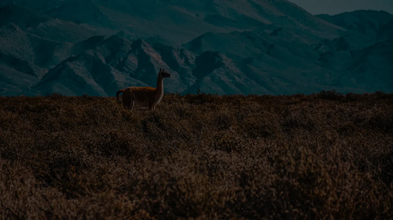 Aprendiendo de Minería- Trivia educativa de PSJ Cobre Mendocino - Custom Trivia Quiz Maker